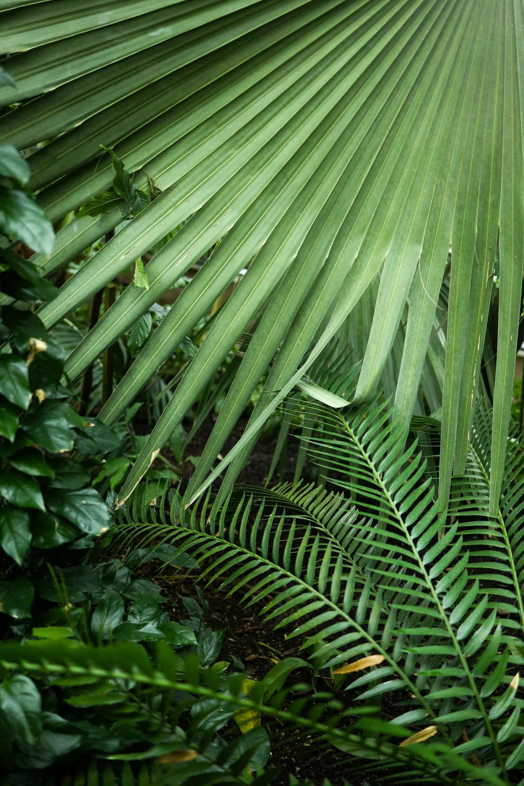 Boost Amazon FBA Sales with Facebook Ads: 2024 Guide - KDPKIT - Amazon ...